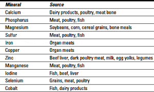 Importance of Dog Vitamins,Minerals & Proteins – Growel Agrovet