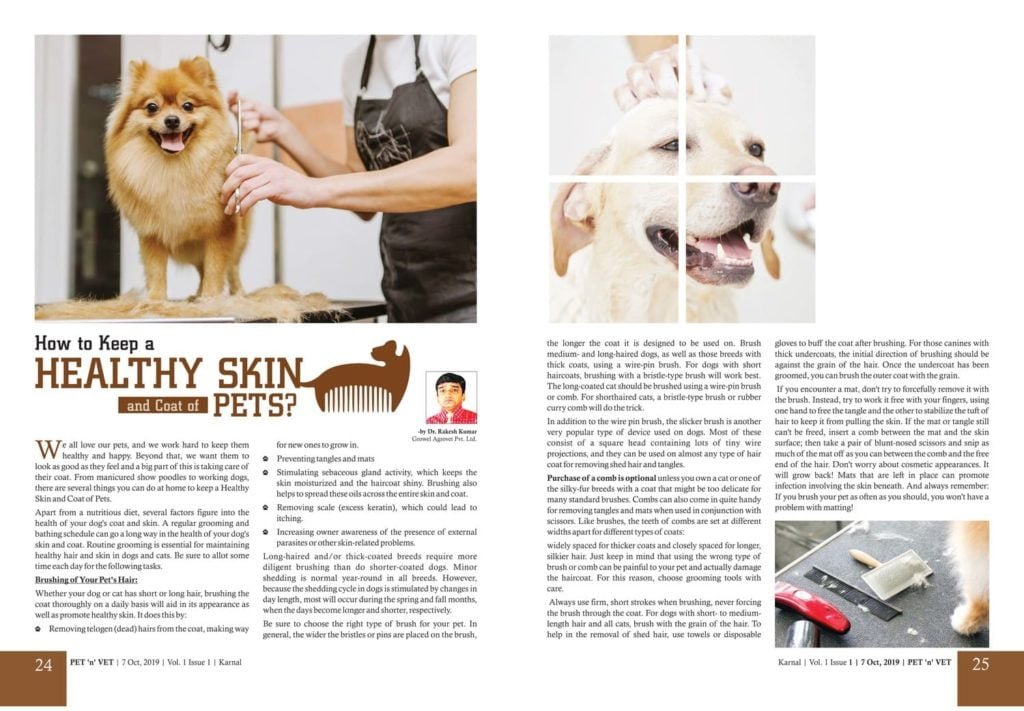 How To Keep Healthy Skin & Coat of Pets Published in Pet ‘n’ Vet ...