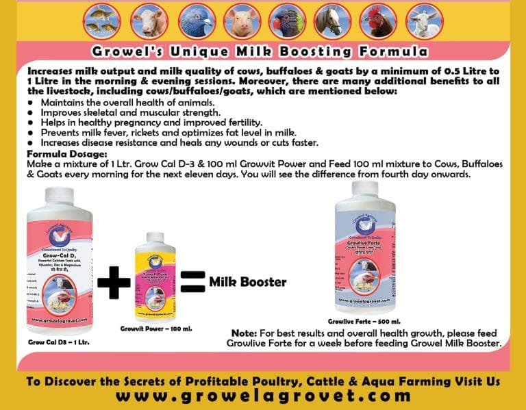 Growel Milk Booster - Growel's Unique Milk Boosting Formula - Growel ...